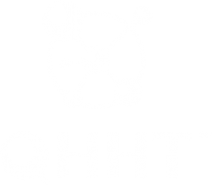 Find a Practitioner | QHHT Official Website
